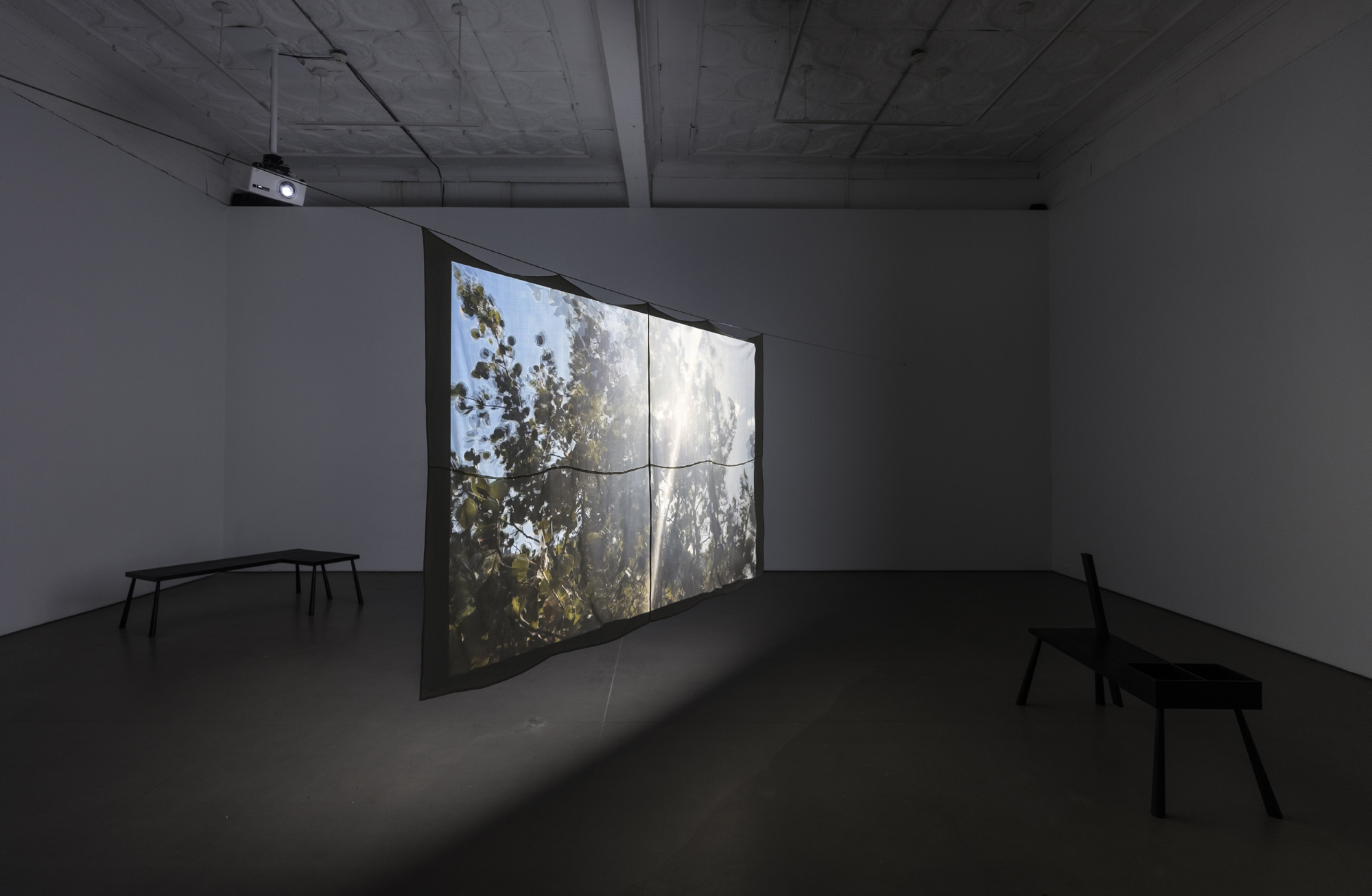 Anne Low and Evan Calder Williams: A Fine Thread of Deviation - Partners in Art