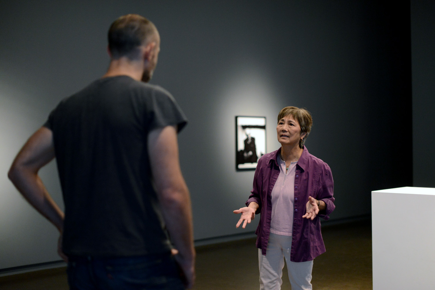 David Levine: Bystanders - Partners in Art